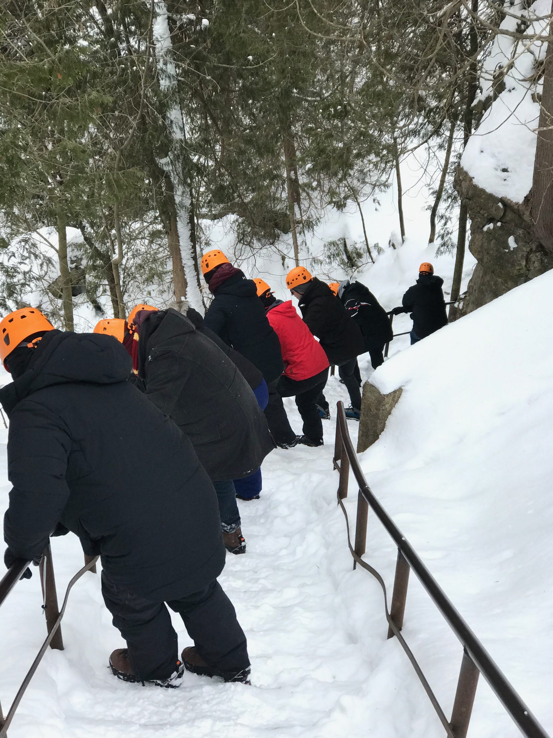 Wilderness Safety Systems – The Remote Workplace Safety Specialists